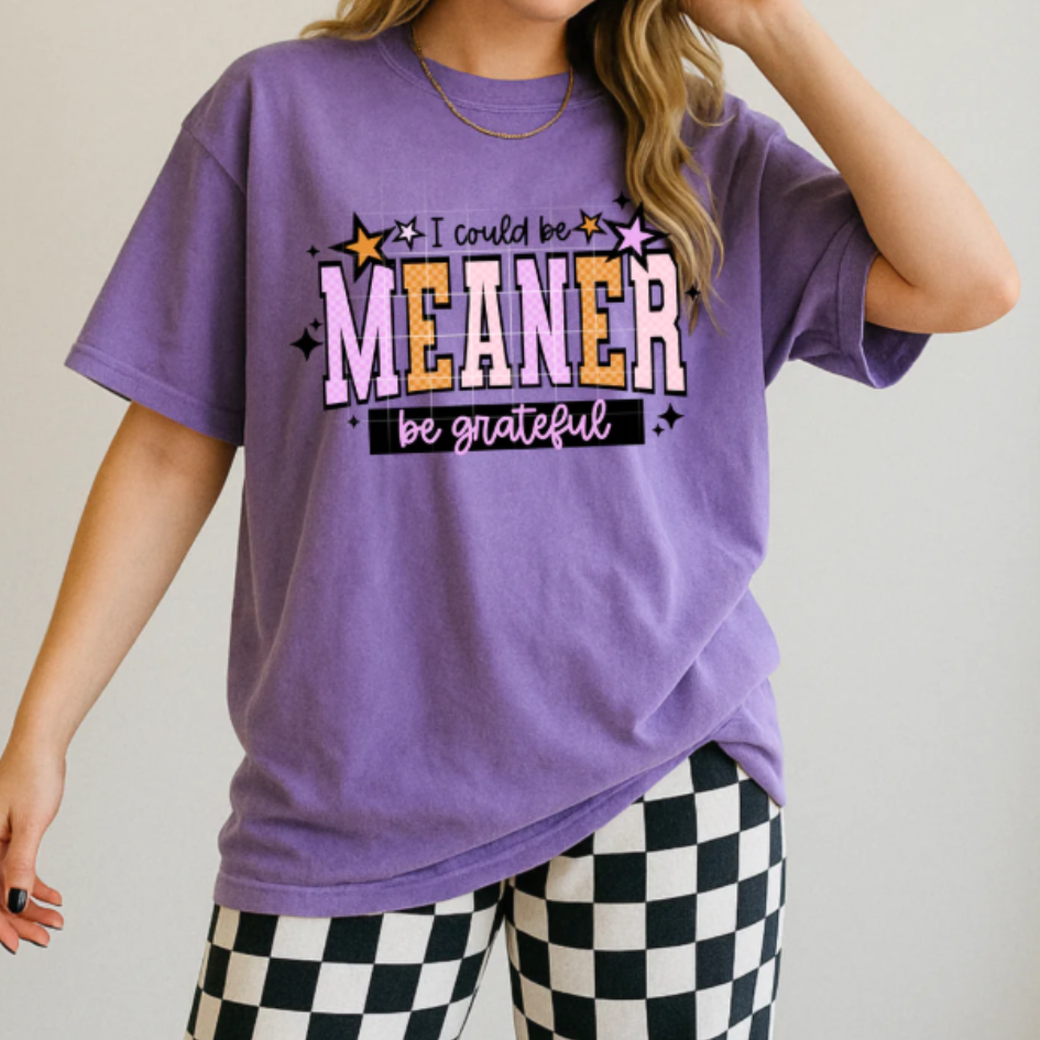 I could be meaner DTF – Designs By Lux